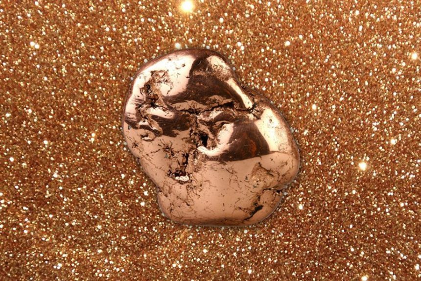 Q&A with Castor Design - DesignTO